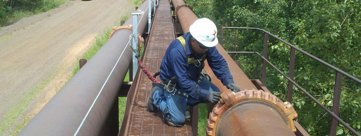 Multi Span Lifelines For Pipe Racks - Flexible Lifeline Systems